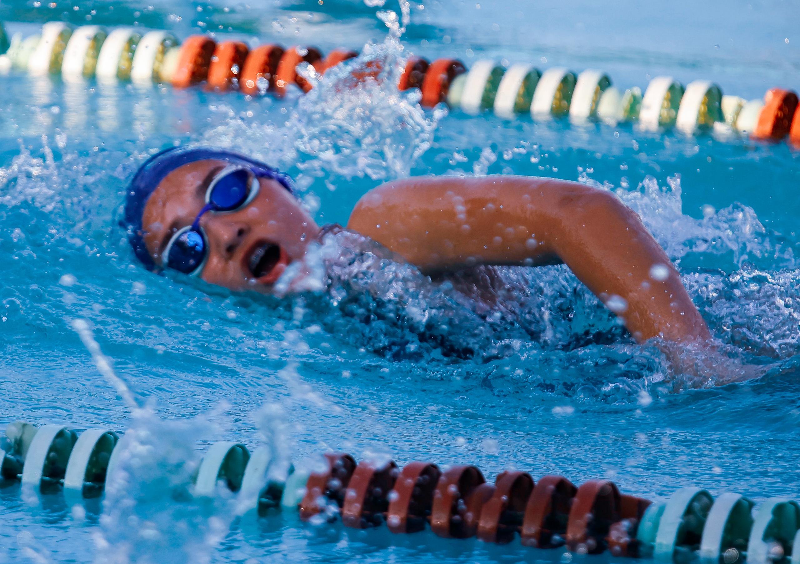 Arrancó con 250 atletas el II Campeonato Estadal de Natación en el ...