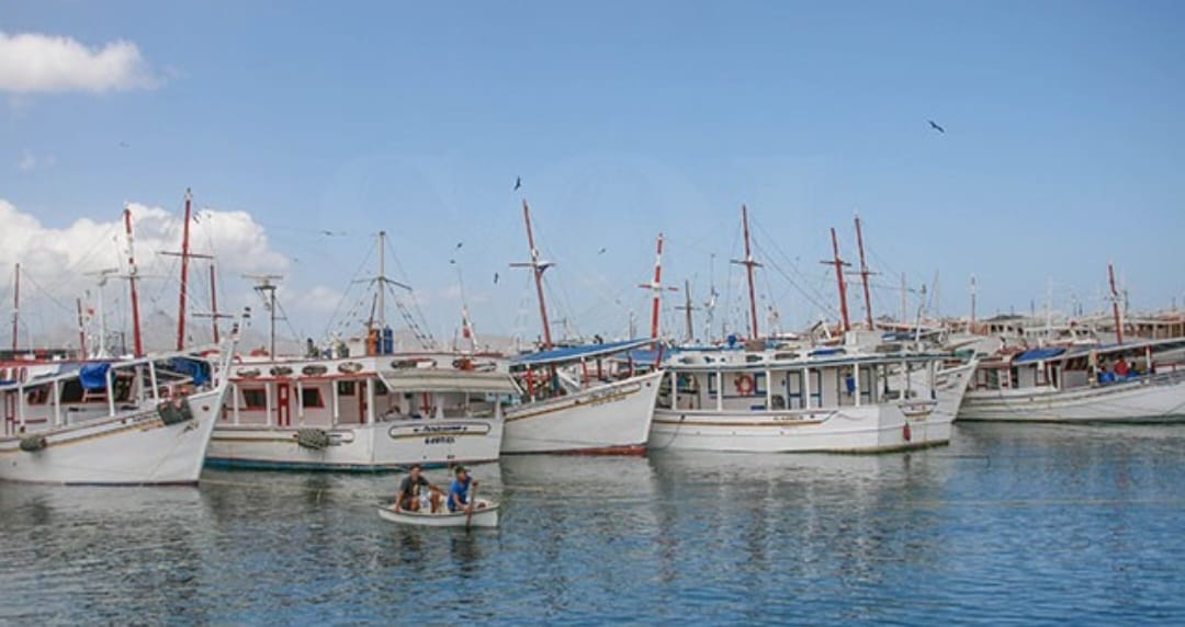 Flota Pargo-Mero de Nueva Esparta obtiene licencias para faenas en el ...